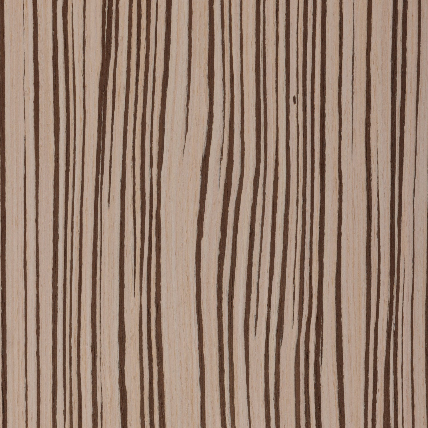 PureWood Creamy Zebrano 100 Engineered Wood Veneer – Pro Cabinet Supply
