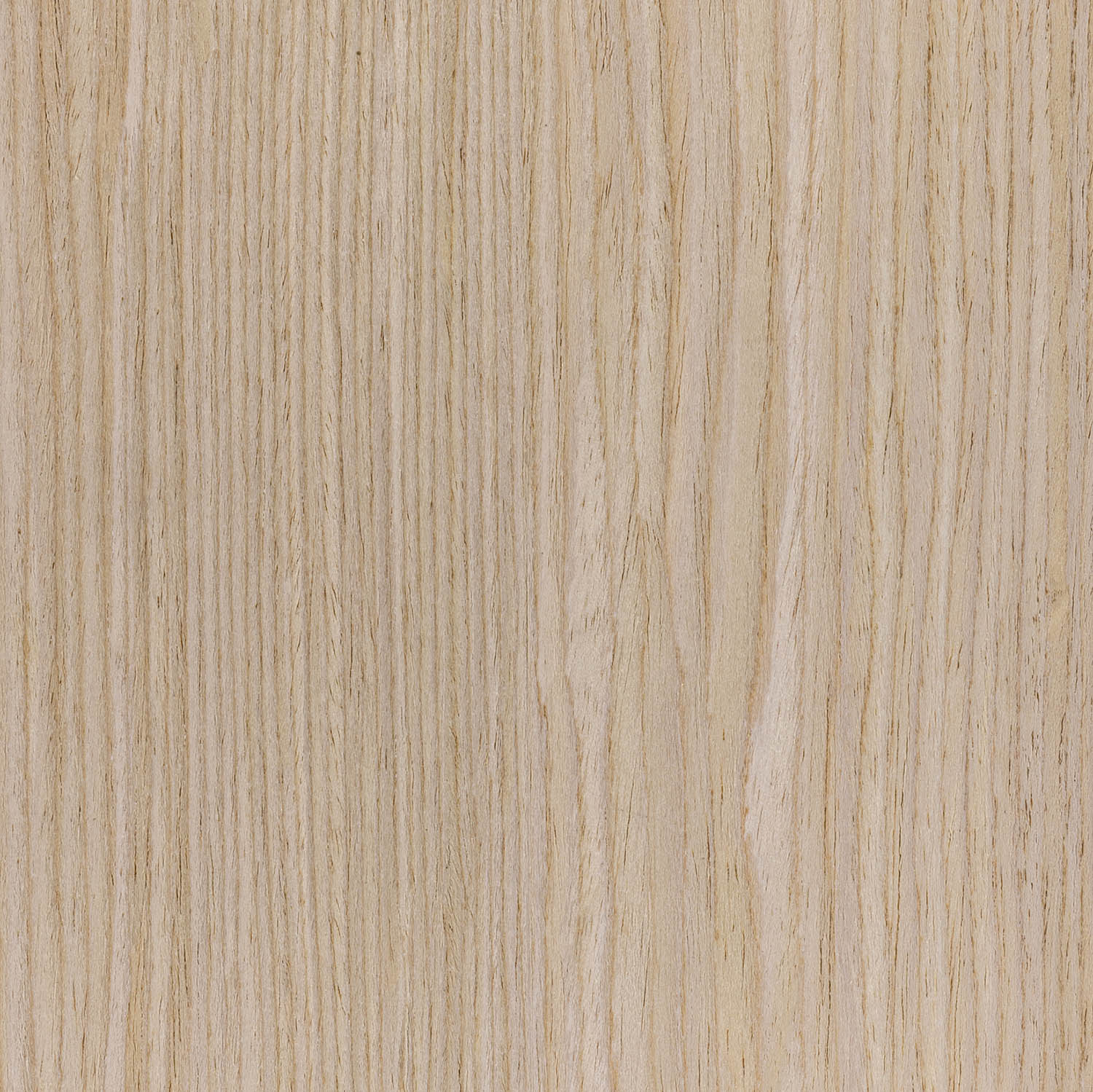 Greenline Pale Oak Engineered Wood Veneer – Pro Cabinet Supply