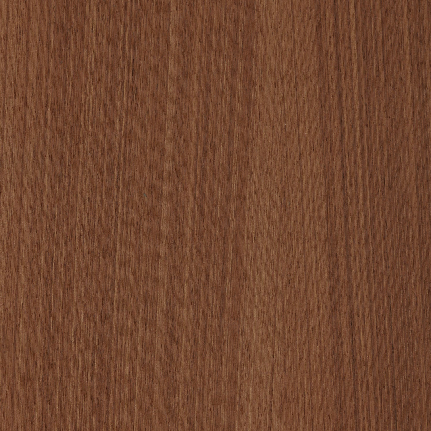 PureWood Quartered Golden Teak 115 Engineered Wood Veneer – Pro Cabinet ...