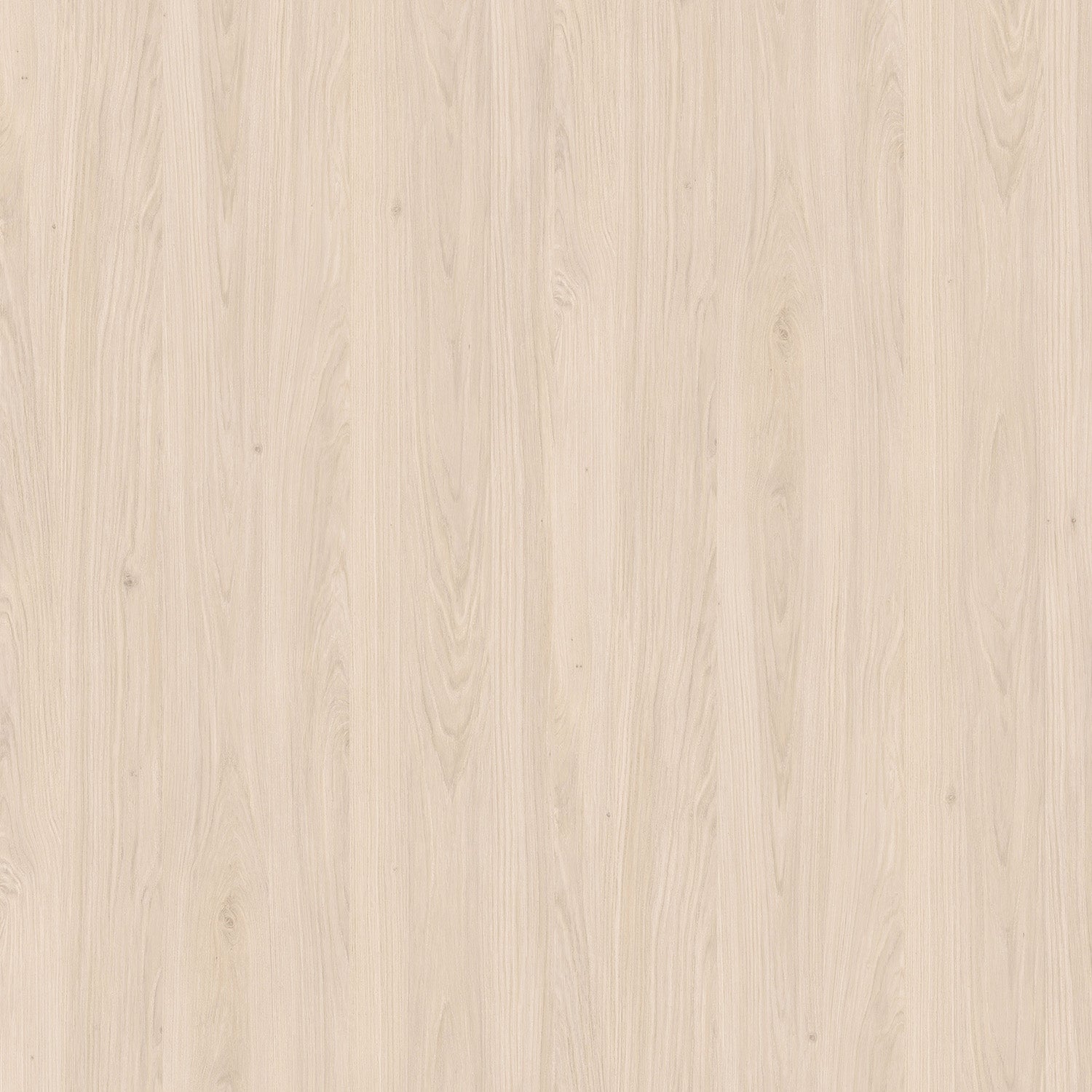Egger White Casella Oak H1384 Laminate Sheet that Matches Decorative P ...