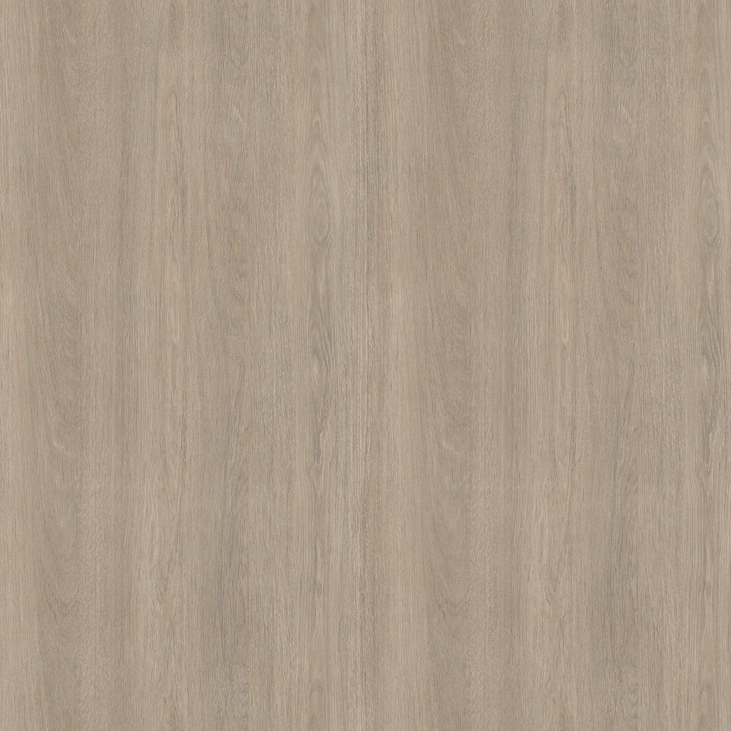Egger Beige Grey Lorenzo Oak H3146 Melamine Decorative Panel – Pro ...