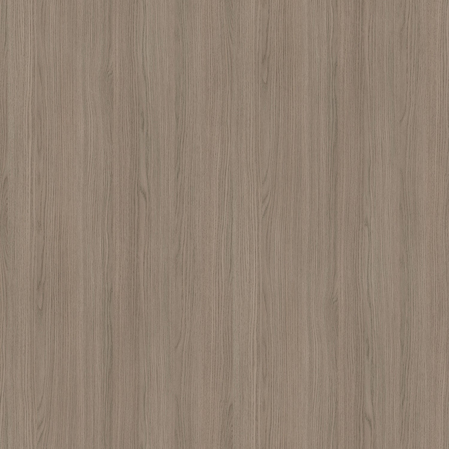 Egger Grey Vicenza Oak H3158 Laminate Sheet that Matches Decorative Pa ...